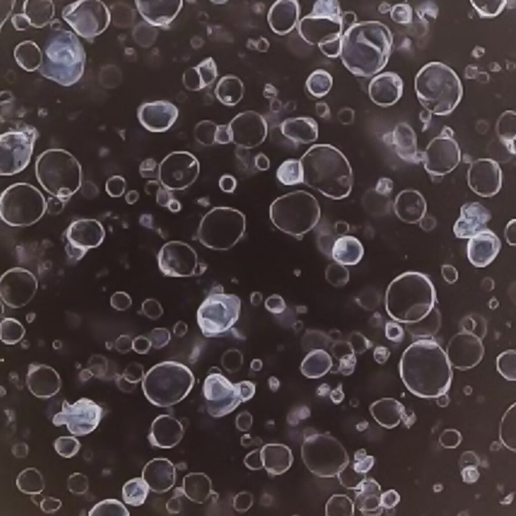 Colorectal Cancer Organoid - Lambda Biologics