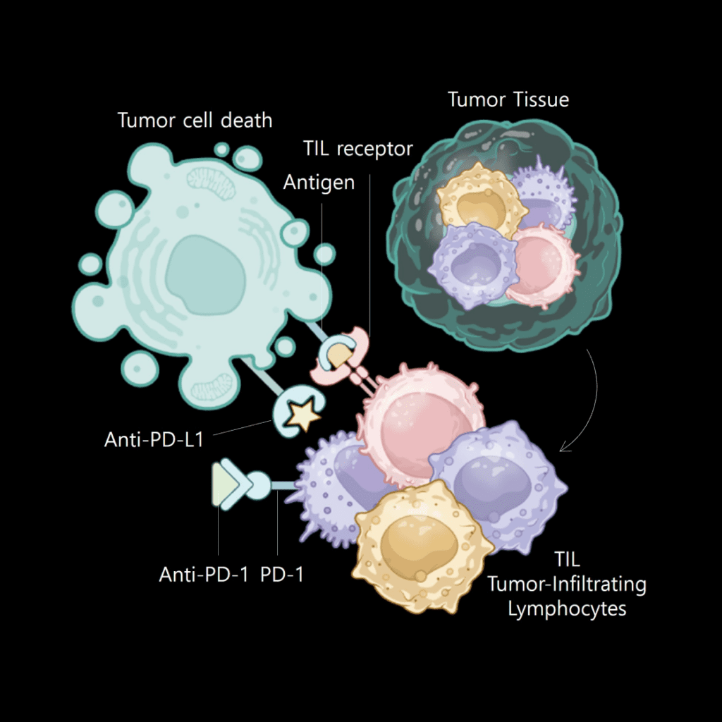 Tumor-Infiltrating Lymphocyte - Lambda Biologics