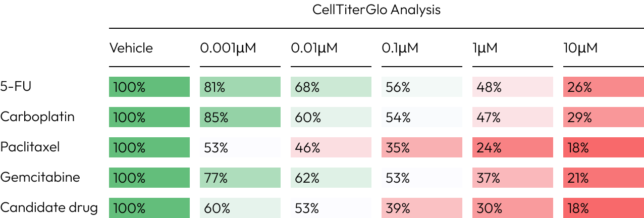 Colorectal Cancer Organoid - Lambda Biologics