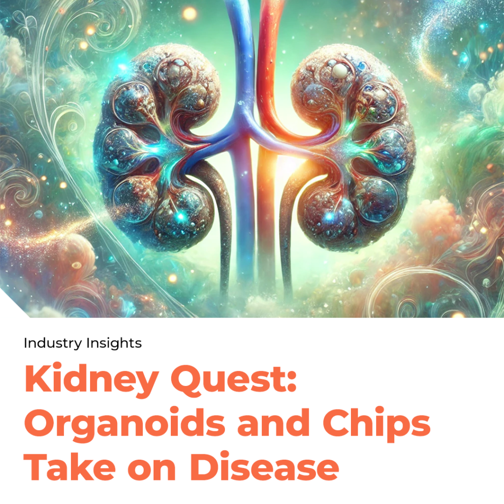 Kidney Disease Modeling with Organoids and Organs-on-Chips - Lambda Biologics