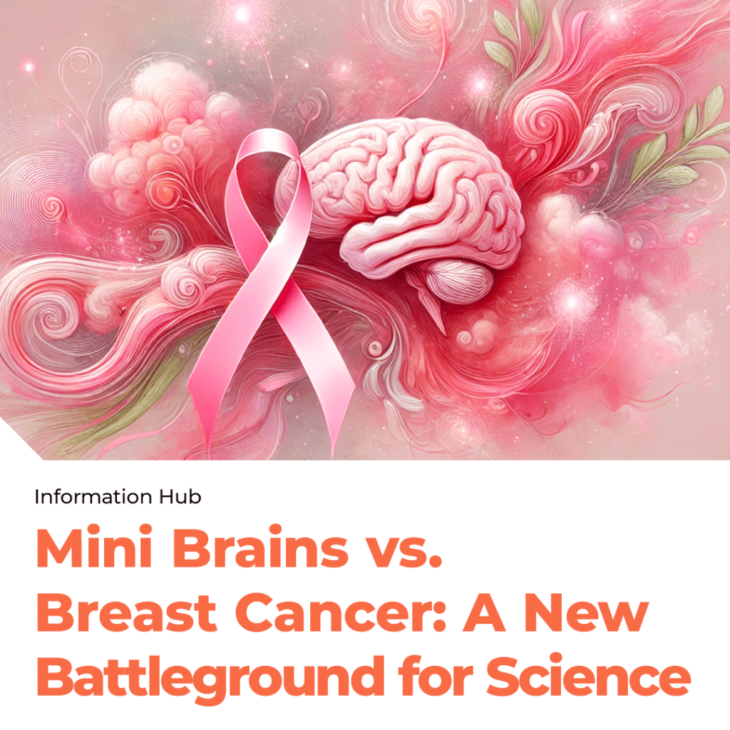 Utilizing Human Cerebral Organoids to Model Breast Cancer Brain ...