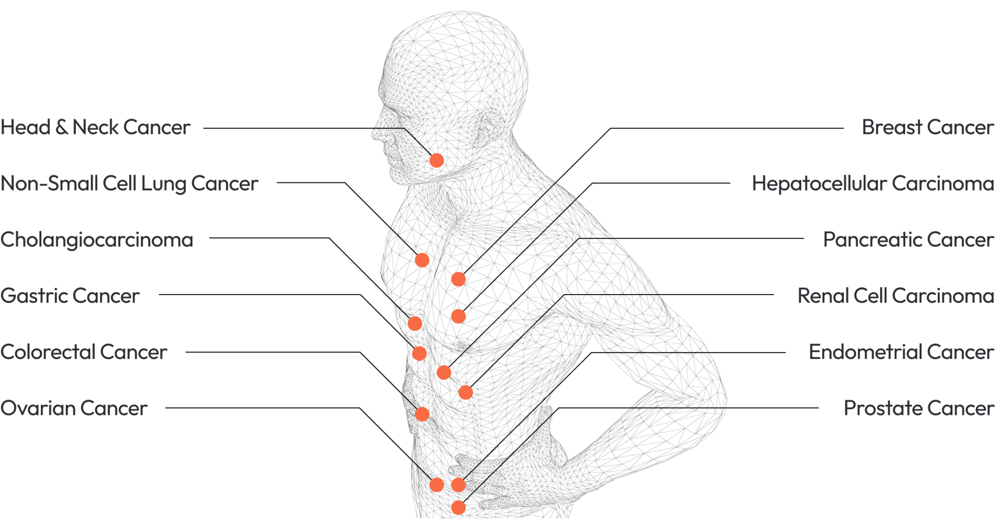 Oncology - Lambda Biologics