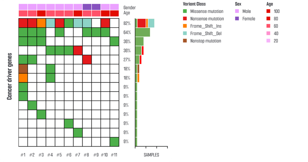 Colorectal Cancer Organoid - Lambda Biologics