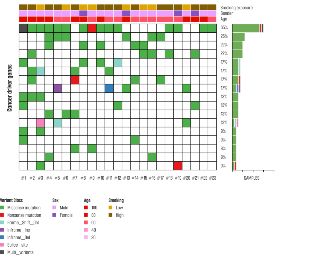 Lung Cancer Organoid - Lambda Biologics