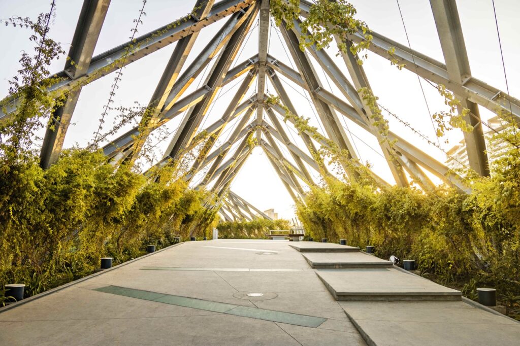 Nature’s Blueprint: Biotechnology Reshaping Our Sustainable Future ...